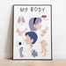 The Body Parts Poster | Educational Prints | Preschool Print | My Body ...