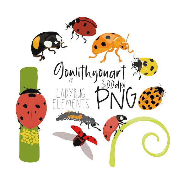 Ladybug PNG Ladybug Clipart Ladybug Download Instant | Etsy