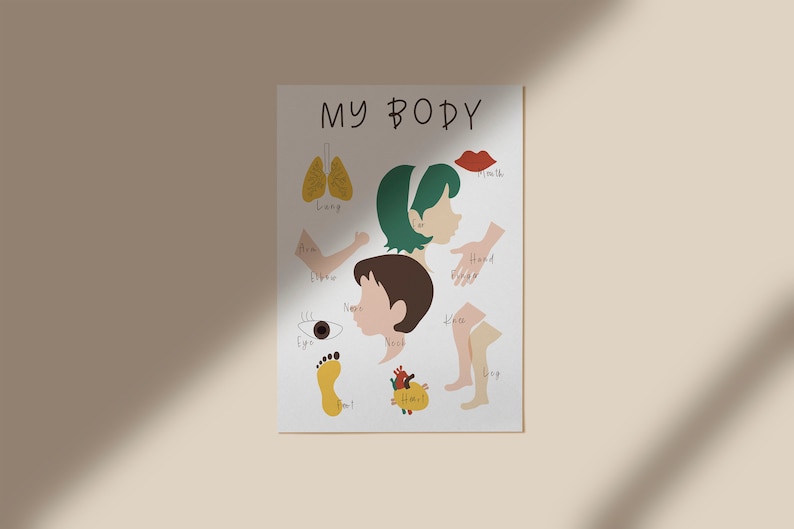 My Body Poster | Preschool Prints | Home School Wall Art | Educational ...