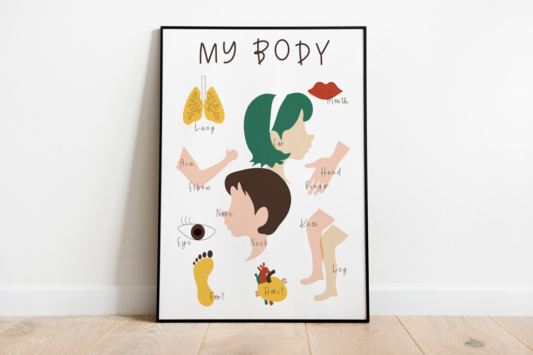 My Body Poster | Preschool Prints | Home School Wall Art | Educational ...
