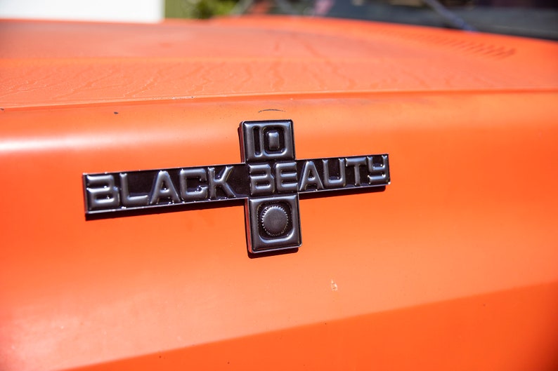 Custom Chevrolet 1980s Model Squarebody Truck Emblem SINGLE - Etsy