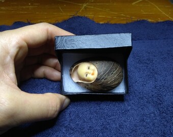 Carved Tagua Nut - Etsy