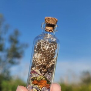 Lucky Snake Skin Mini Jar - Etsy