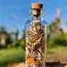 Lucky Snake Skin Mini Jar - Etsy