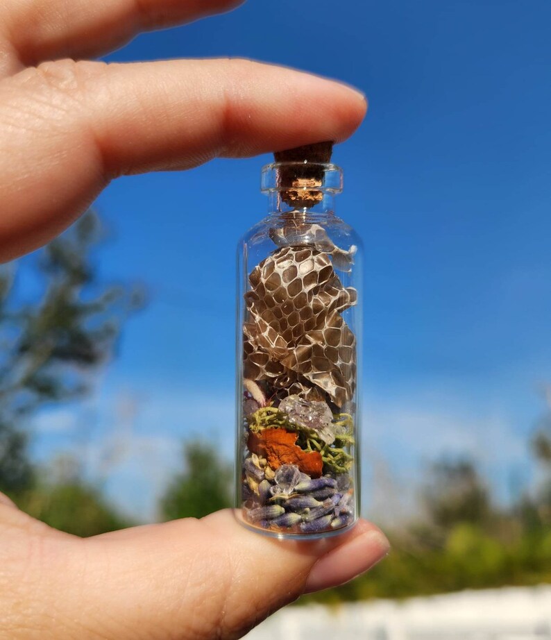Lucky Snake Skin Mini Jar - Etsy