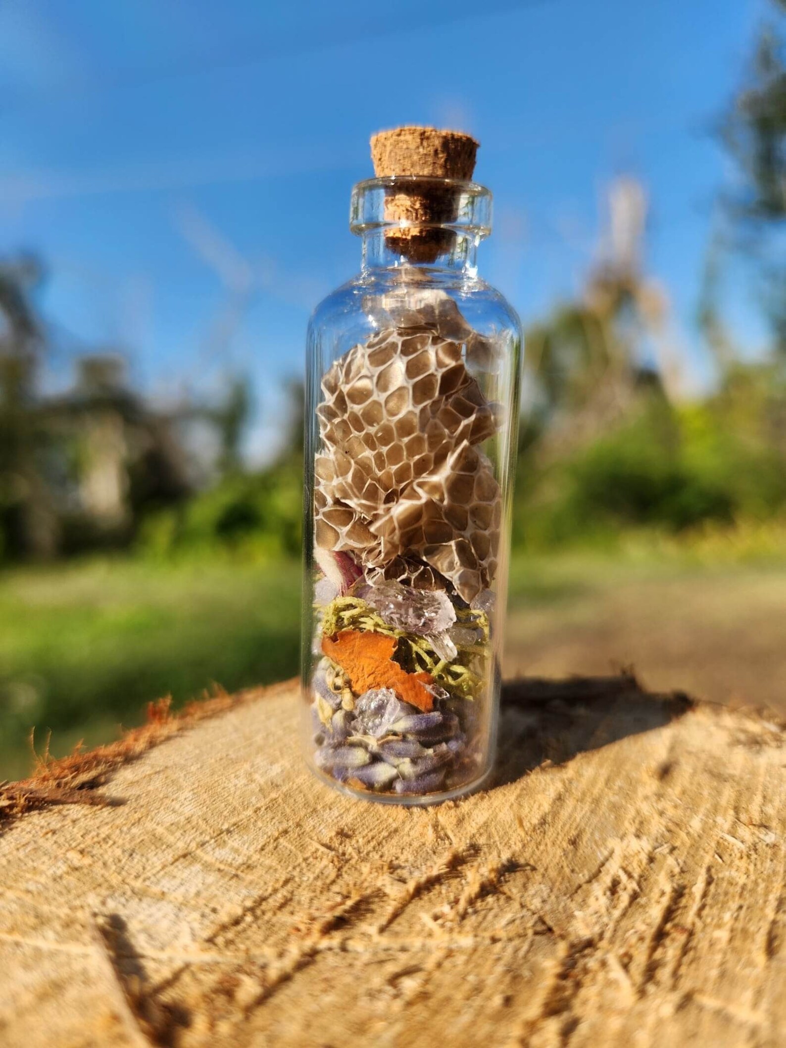 Lucky Snake Skin Mini Jar - Etsy