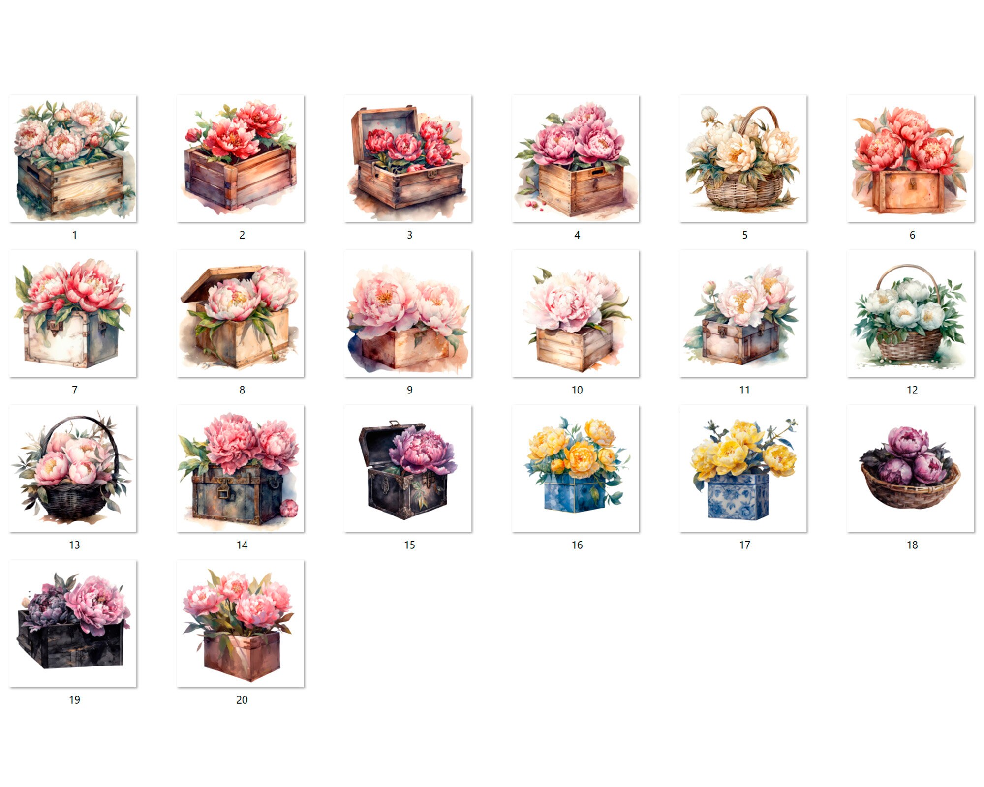 Peonies Clipart Bundle 20 Png Watercolor Peonies Clip Art - Etsy