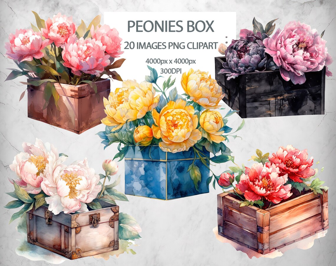 Peonies Clipart Bundle 20 Png Watercolor Peonies Clip Art - Etsy