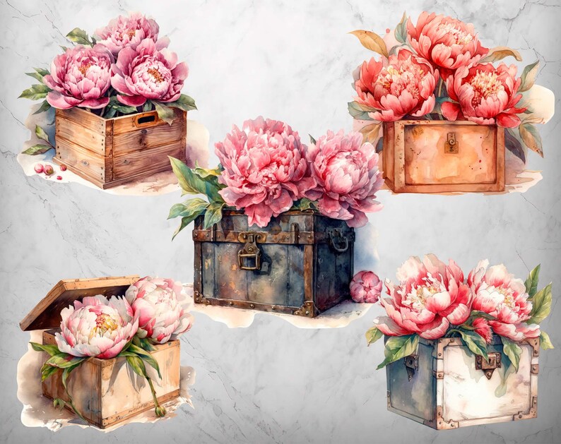 Peonies Clipart Bundle 20 Png Watercolor Peonies Clip Art - Etsy