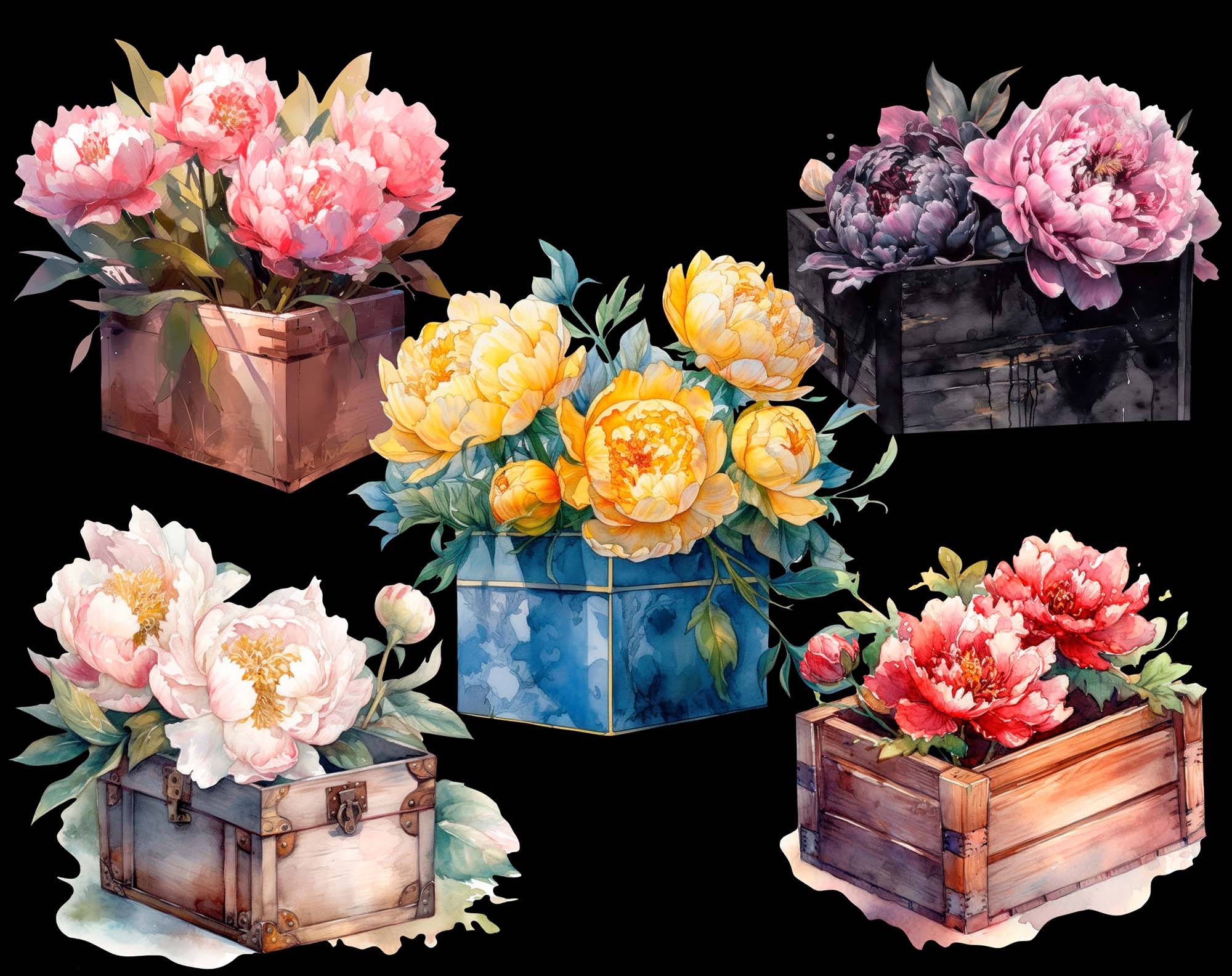 Peonies Clipart Bundle 20 Png Watercolor Peonies Clip Art - Etsy