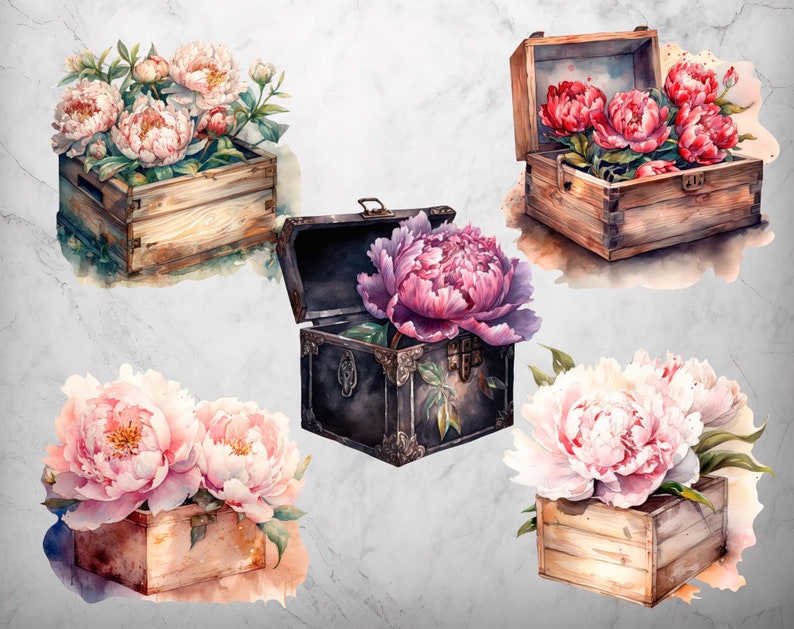Peonies Clipart Bundle 20 Png Watercolor Peonies Clip Art - Etsy