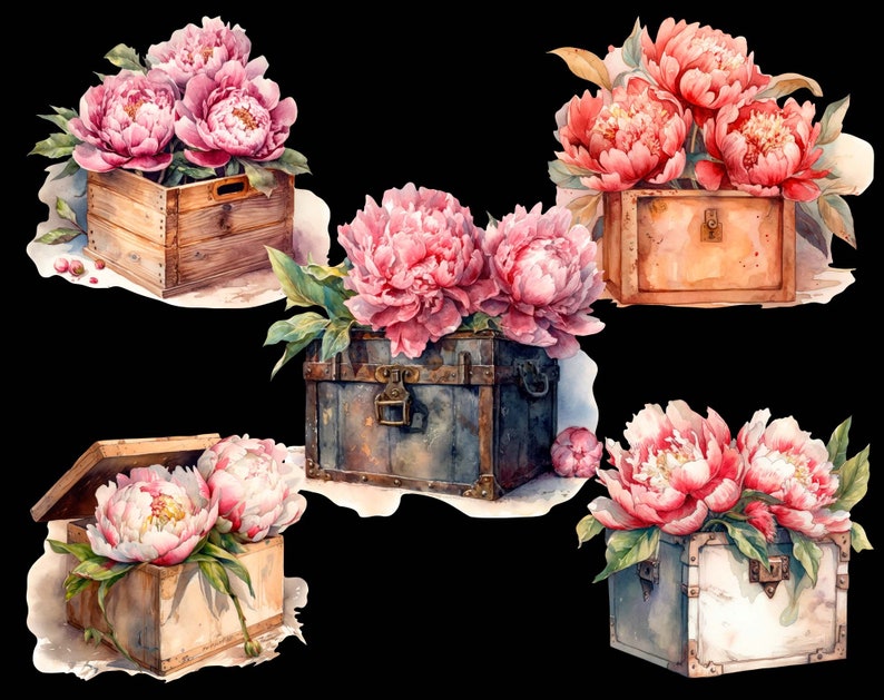 Peonies Clipart Bundle 20 Png Watercolor Peonies Clip Art - Etsy