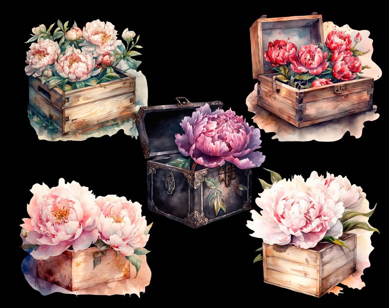 Peonies Clipart Bundle 20 Png Watercolor Peonies Clip Art - Etsy
