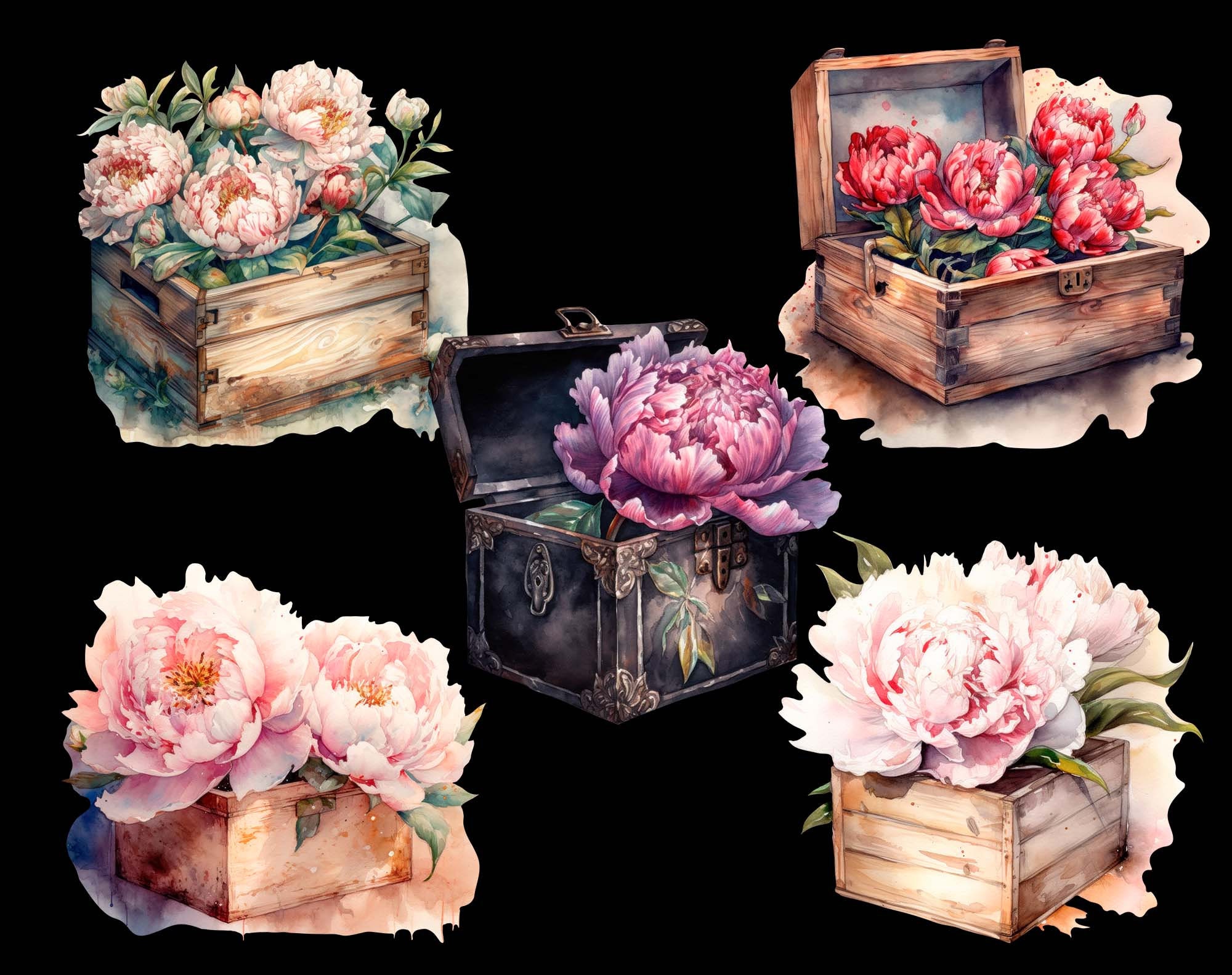 Peonies Clipart Bundle 20 Png Watercolor Peonies Clip Art - Etsy