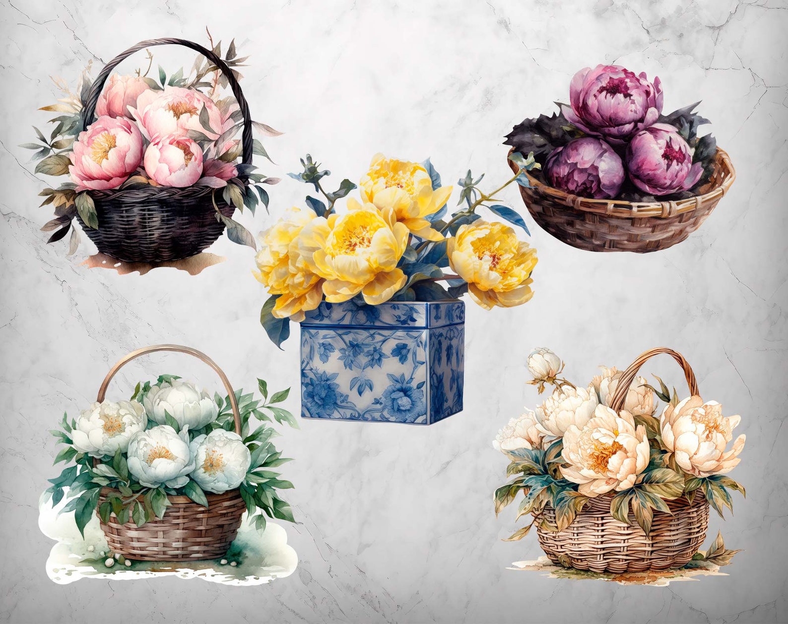 Peonies Clipart Bundle 20 Png Watercolor Peonies Clip Art - Etsy