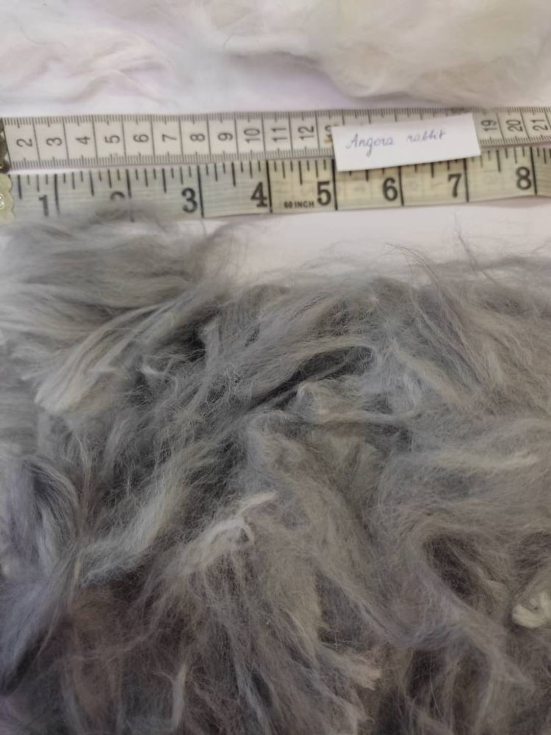 Angora Grey Raw Fiber Wool Rabbit White - Excellent for Wet Felting ...