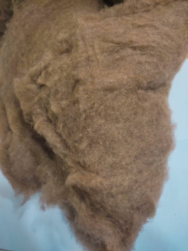 Baby Camelhair / Camel Wool/ Camel Dehaired Wool/ Camel Carded Wool ...