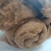 Baby Camelhair / Camel Wool/ Camel Dehaired Wool/ Camel Carded Wool ...