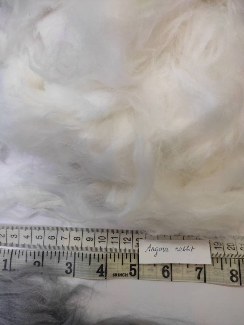 Angora Grey Raw Fiber Wool Rabbit White - Excellent for Wet Felting ...