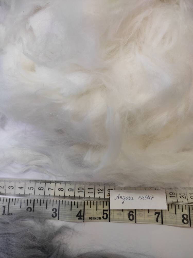 Angora Grey Raw Fiber Wool Rabbit White Excellent for Wet Felting, Felt ...