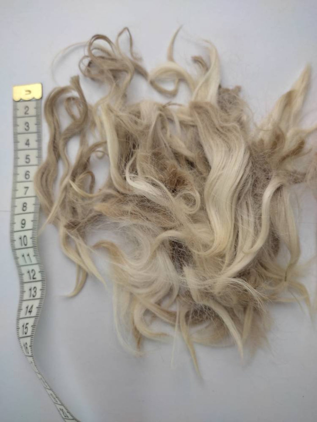 Natural SURI Alpaca Fleece Raw Alpaca Fleece, Suri Alpaca Fleece ...