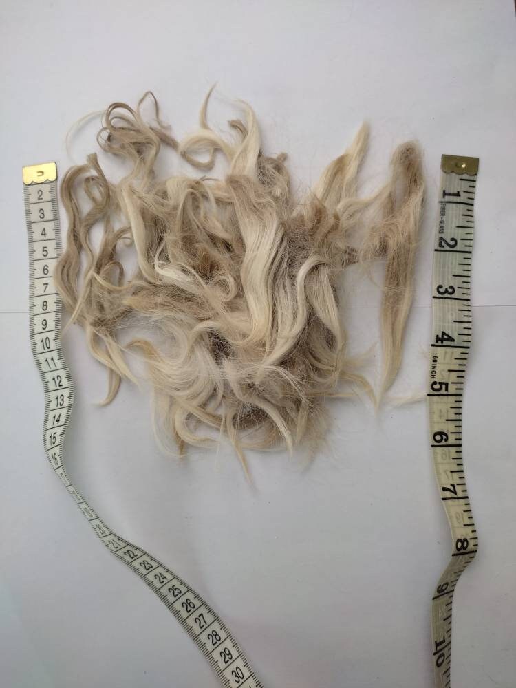 Natural SURI Alpaca Fleece Raw Alpaca Fleece, Suri Alpaca Fleece ...