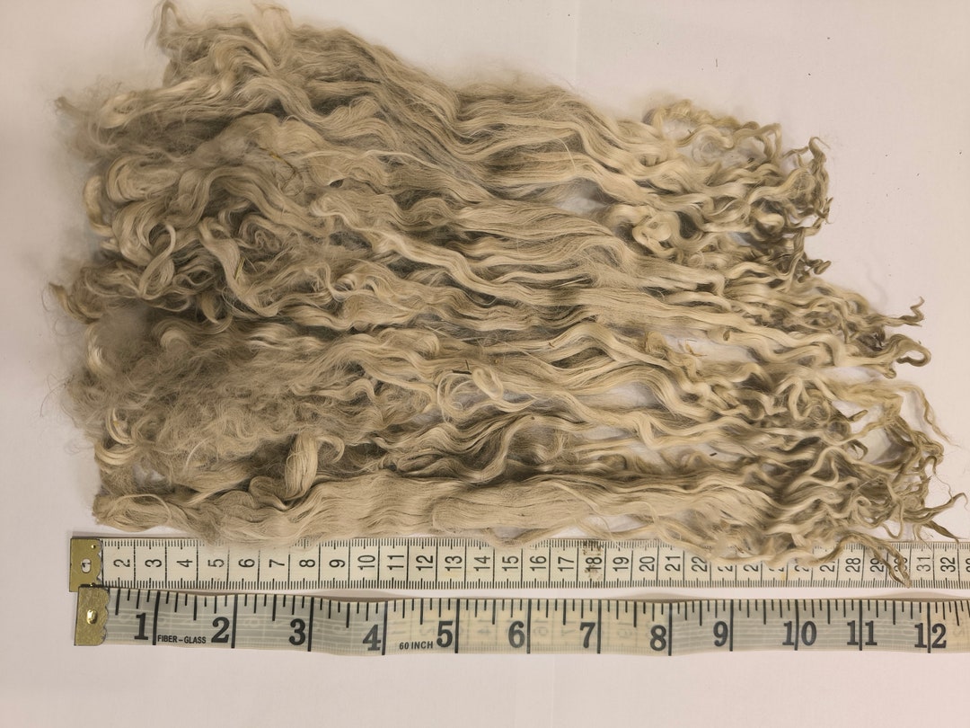 Natural Alpaca Suri Raw Fleece Very Long 12 Inch/ 30 Cm+ Hair Doll ...