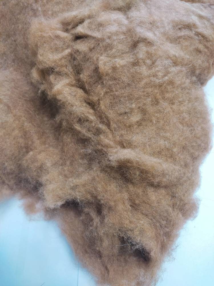 Baby Camelhair / Camel Wool/ Camel Dehaired Wool/ Camel Carded Wool ...