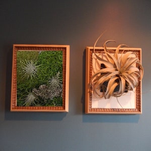 Spider and Husk Digital Print Printable From Original - Etsy