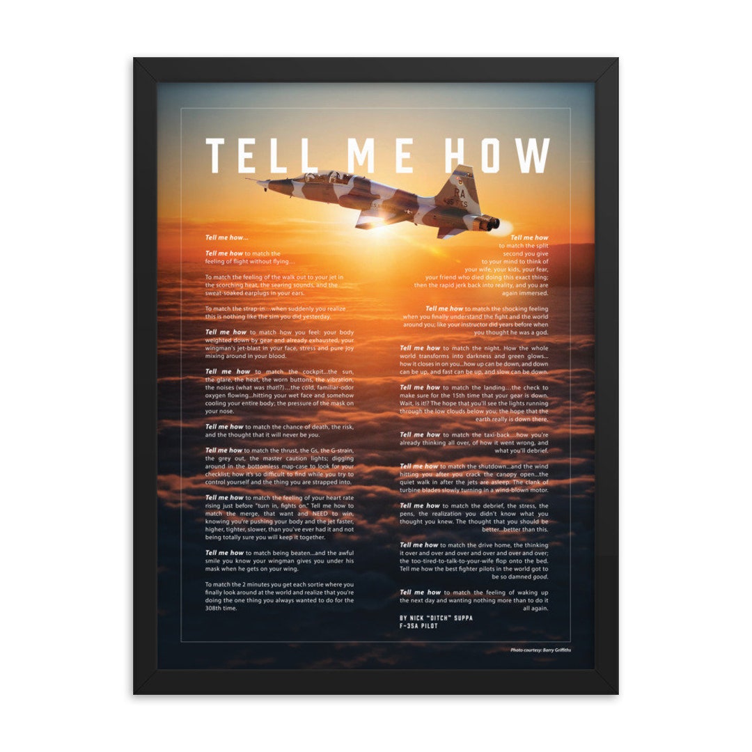 T-38 Talon Framed and Ready for Hanging With Tell Me How Description of ...