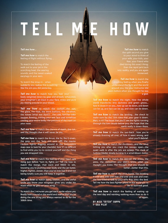 F 14 Tomcat Cockpit Poster