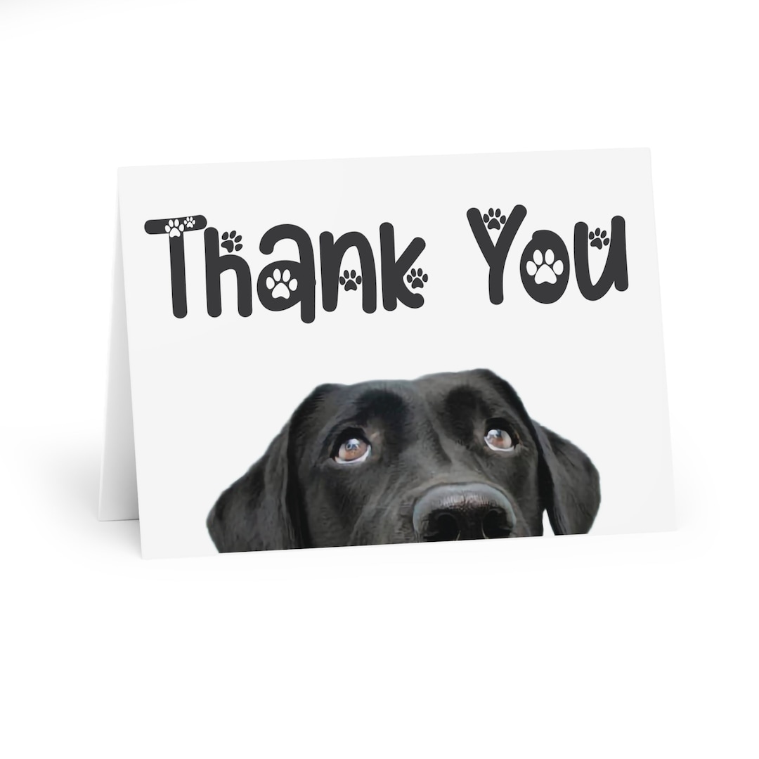 Charming Black Labrador Thank You Greeting Card With Paw Prints - Etsy