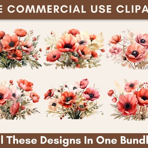 August Birth Flower PNG Bundle Watercolor Flower Designs, Poppies PNG ...