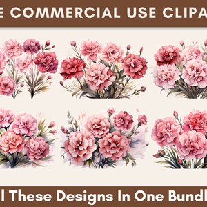 January Birth Flower PNG Bundle Watercolor Flower Designs, Carnation ...