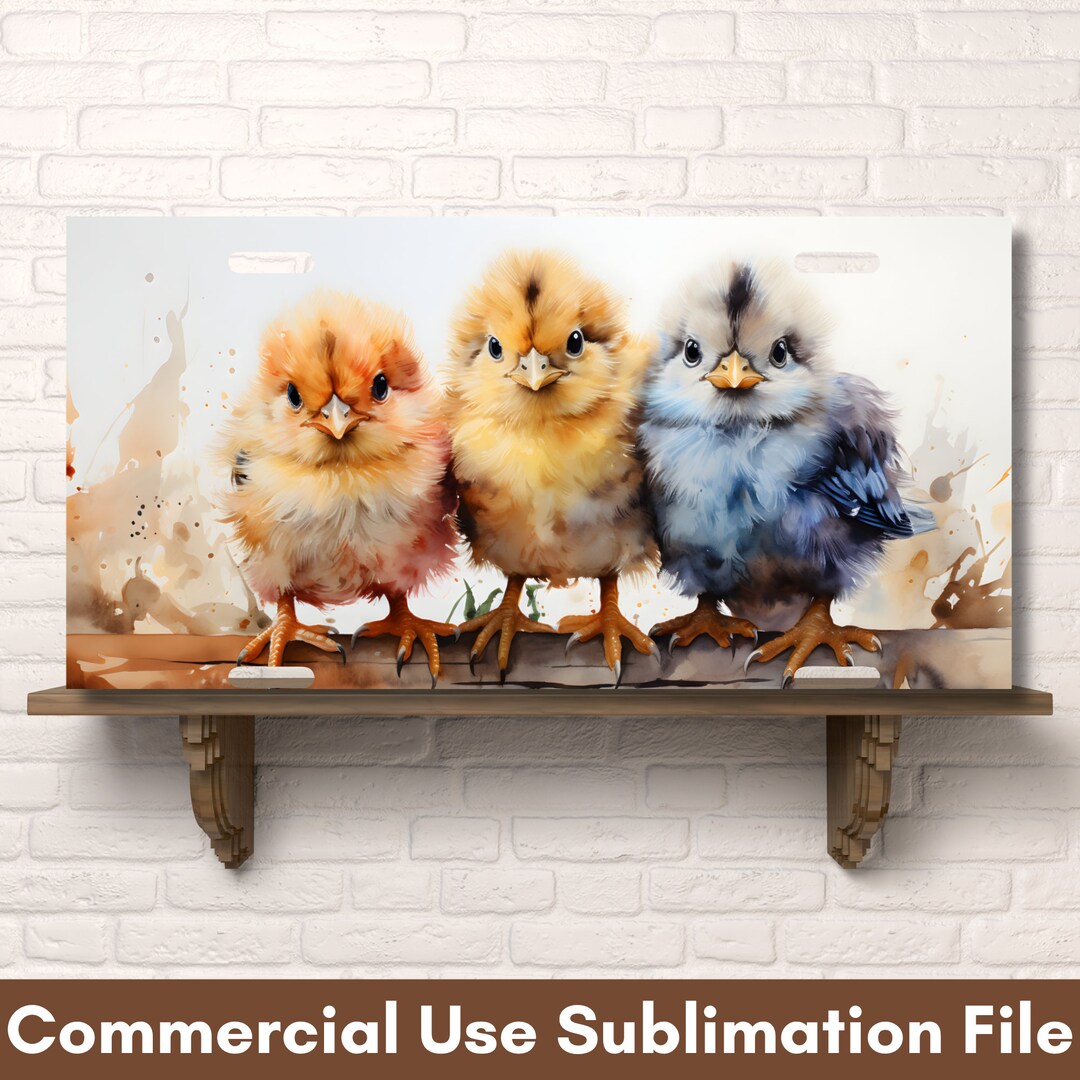 Watercolor Chicken License Plate Sublimation Design, Instant Digital ...