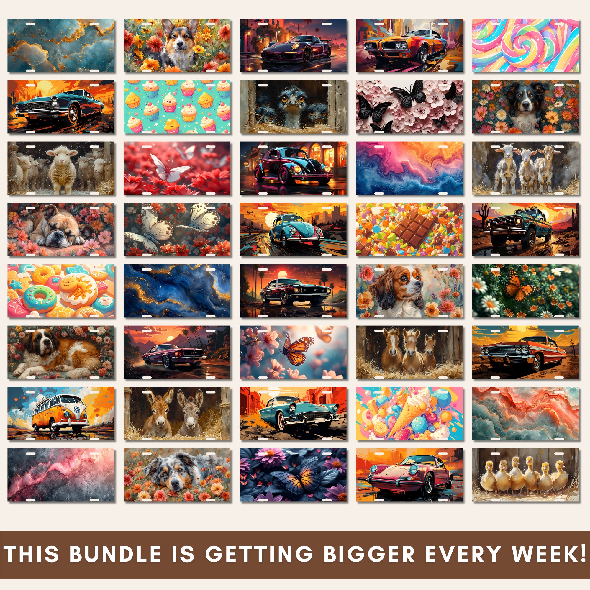 Mega Bundle License Plate Sublimation Designs Bundle, License Plate PNG ...