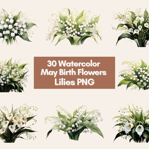 May Birth Flower PNG Bundle Watercolor Flower Designs, Lilies PNG Files ...