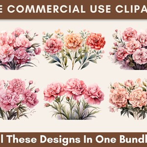 January Birth Flower PNG Bundle Watercolor Flower Designs, Carnation ...