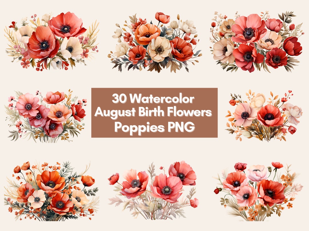 August Birth Flower PNG Bundle Watercolor Flower Designs, Poppies PNG ...