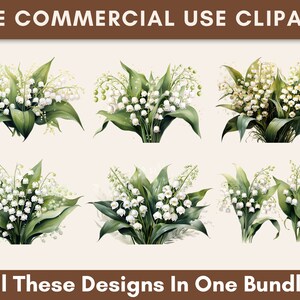 May Birth Flower PNG Bundle Watercolor Flower Designs, Lilies PNG Files ...