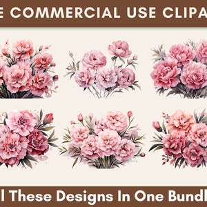 January Birth Flower PNG Bundle Watercolor Flower Designs, Carnation ...