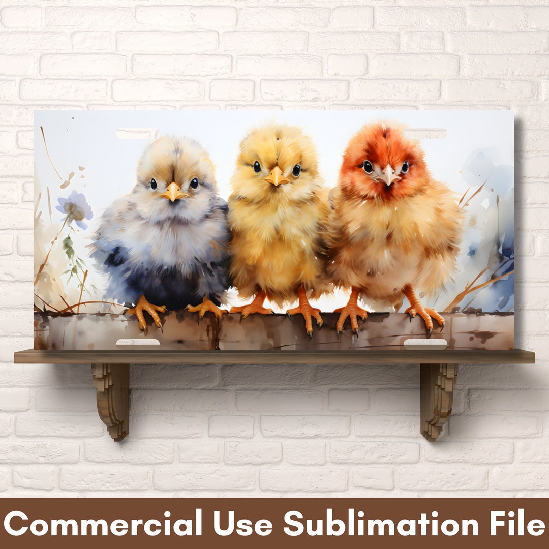 Watercolor Chicken License Plate Sublimation Design, Instant Digital ...