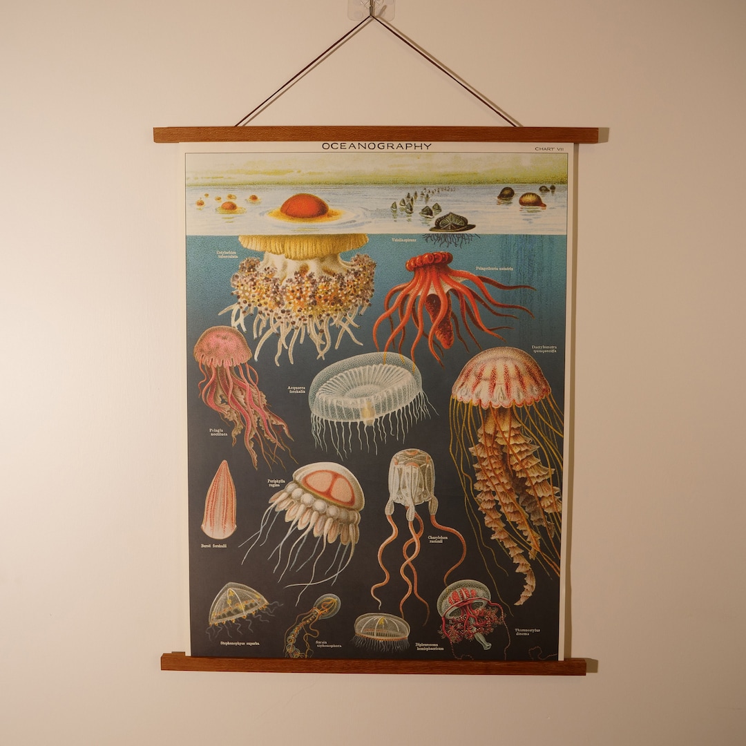Oceanography Vintage Poster With Magnetic Wooden Hanger Combo Vertical ...