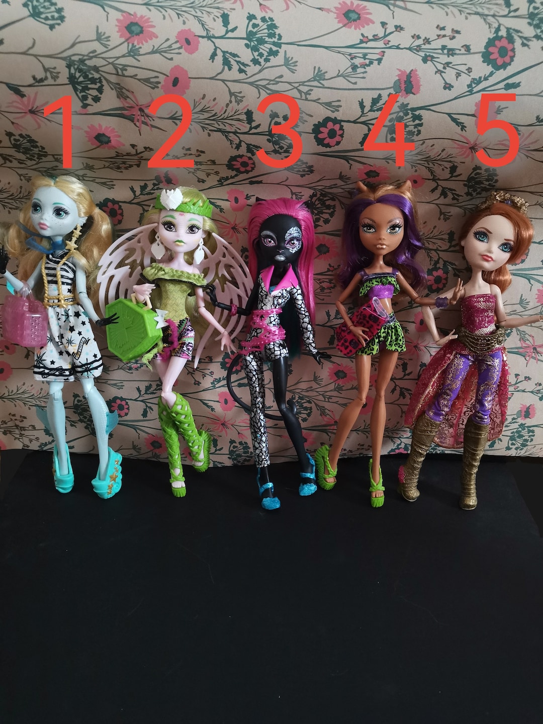 Monster High and Ever After High Dolls for Collectors, Collection ...