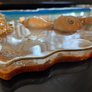 Large Luxurious Ocean Shell Embellished Serving Tray . - Etsy