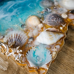 Large Luxurious Ocean Shell Embellished Serving Tray . - Etsy