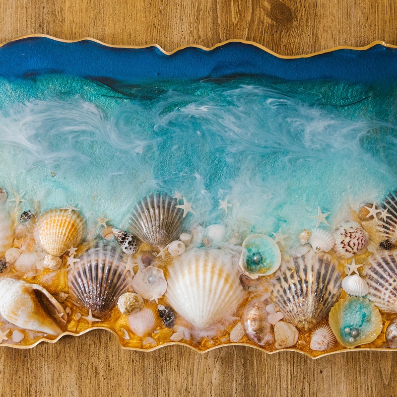 Shell Embellished - Etsy