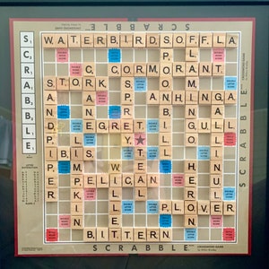 STOCK DESIGN Scrabble Board (framed) - Water Birds of Florida - Etsy