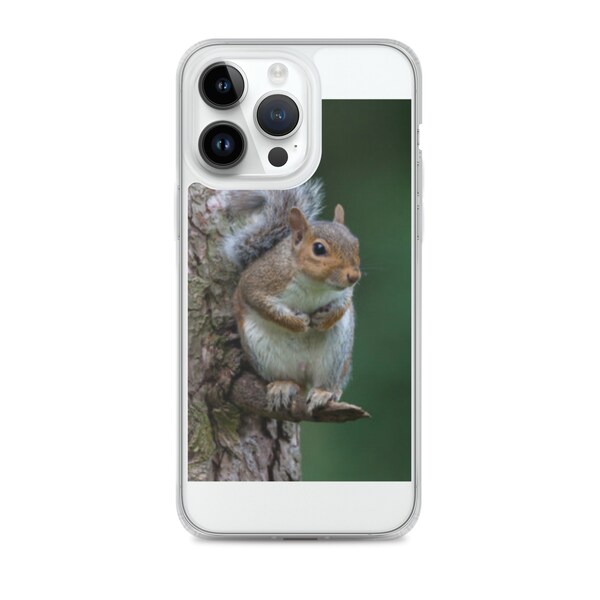 Squirrel Iphone Case - Etsy