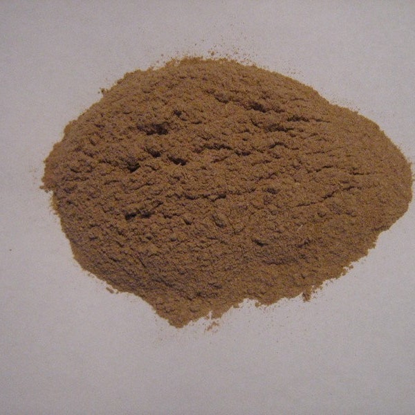 Typha - Etsy